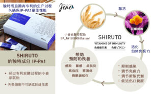 Shiruto - The Best Supplement For Boosting Your Immunity
